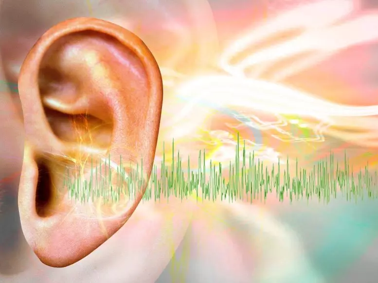 Концепция шума в ушах