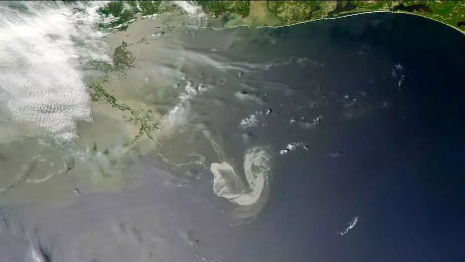 Deepwater Horizon Oil Spill Peyk Şəkli