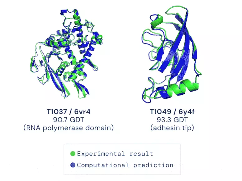 Modeling proteinina DeepMind AI