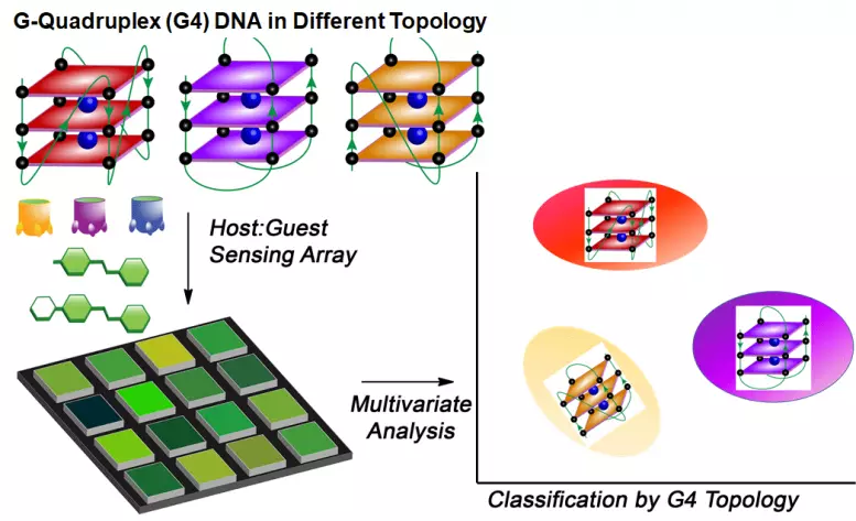 G Quad Sensing