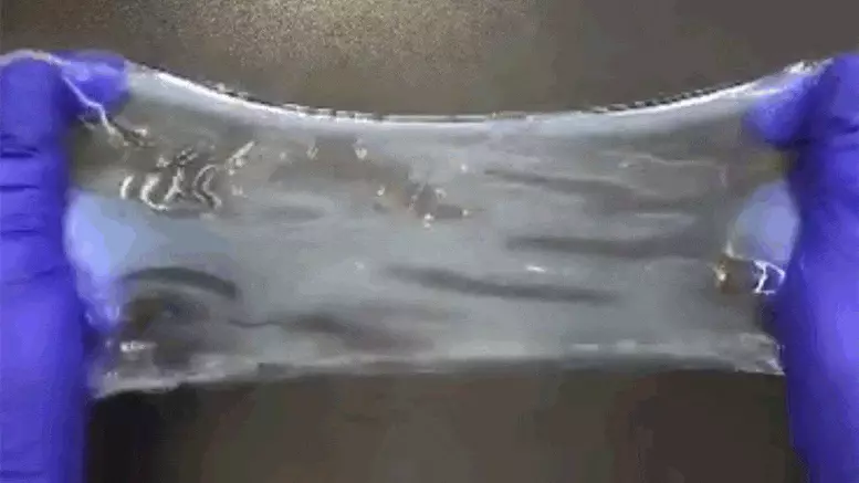 MIT ELAST Stretchable Tissue