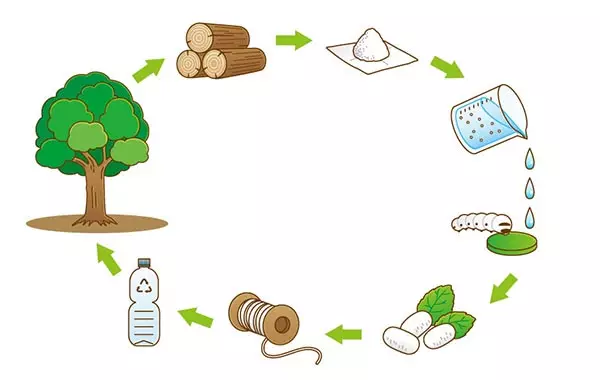 CNF gesynthetiseerde zijdeproductie