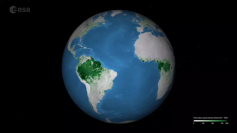 Estimaciones de biomasa forestal