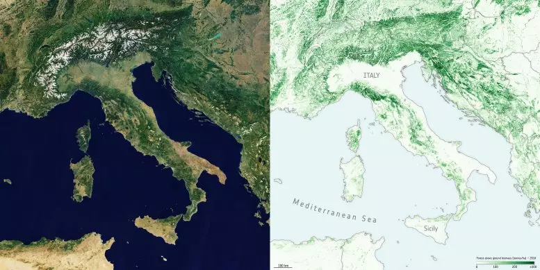 Biomasa aérea de Italia