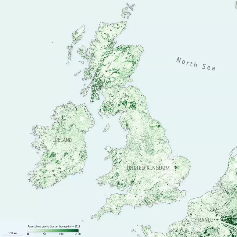 Reino Unido e Irlanda Biomasa aérea