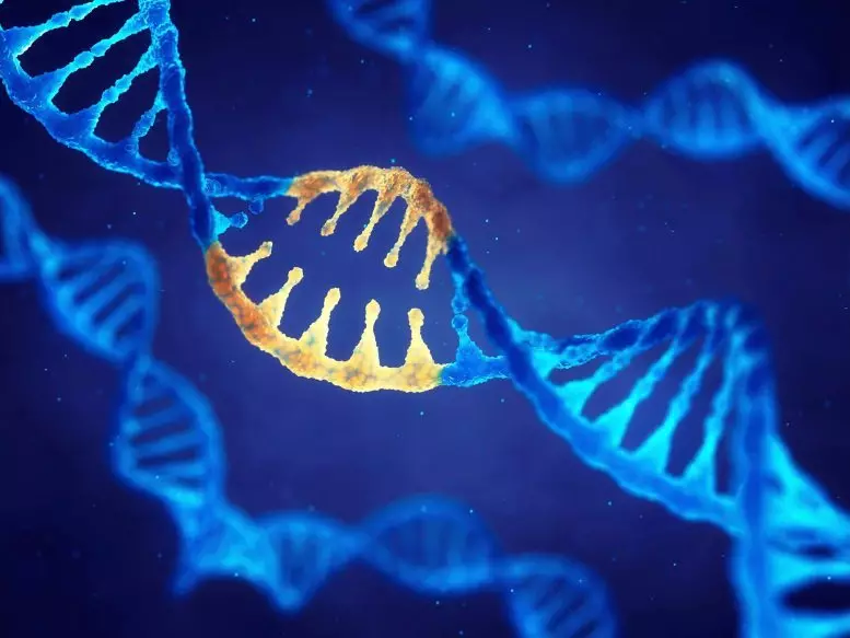 CRISPR 유전자 편집 개념