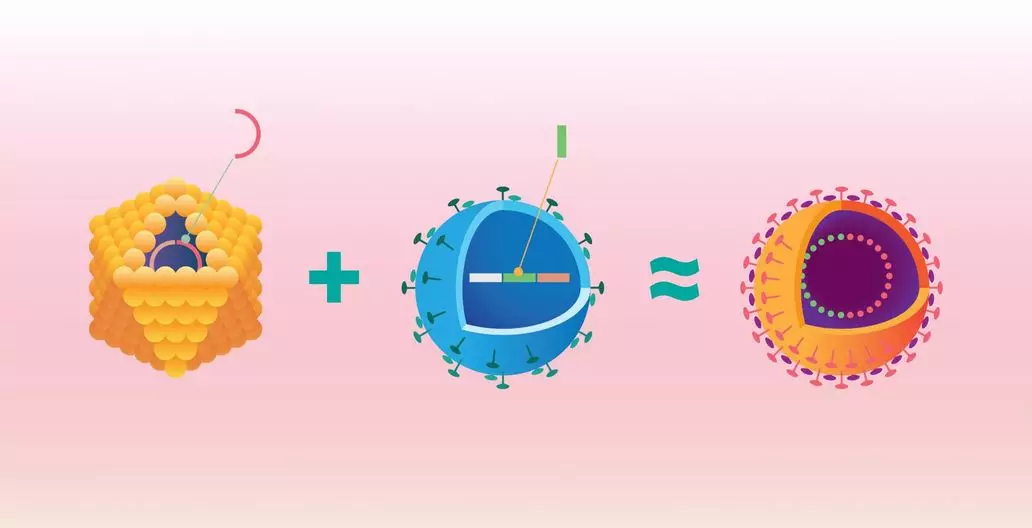 Cruciviruses. Criss-Crossing վիրուսները առաջացնում են յուրահատուկ հիբրիդային տարբերակներ 20362_1