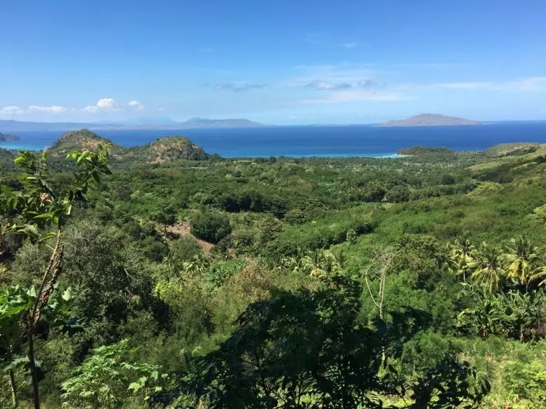 Selva tropical moderna Sudeste asiático