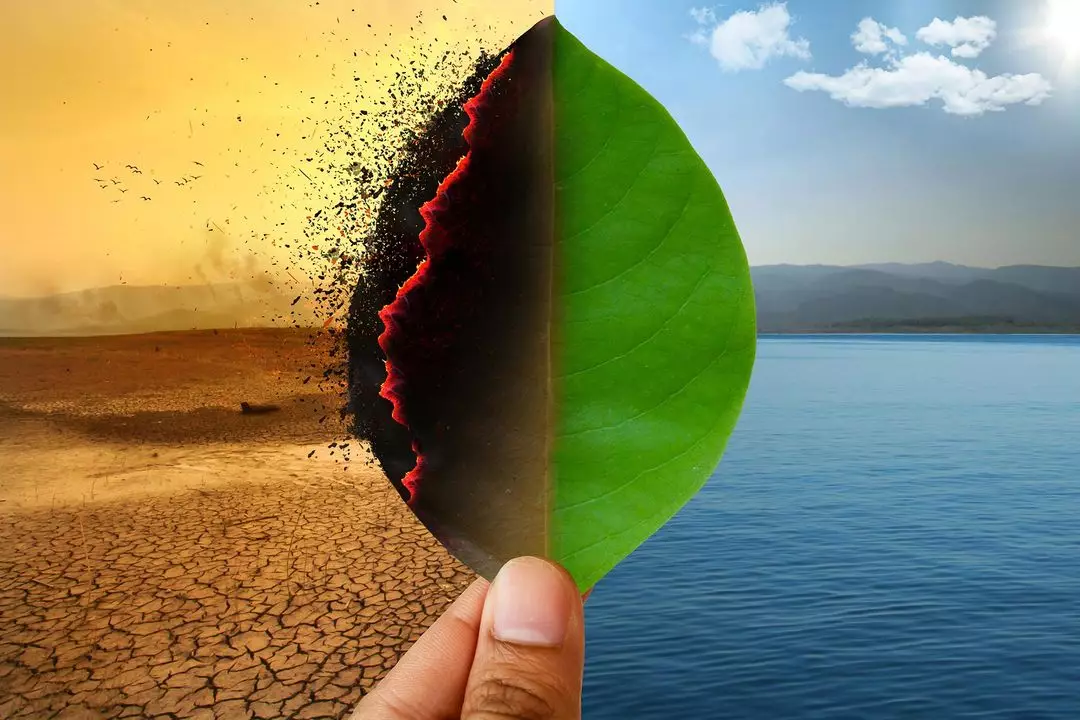 گلوبل وارمنگ موسمیاتی تبدیلی کے فنکاروں کا تصور
