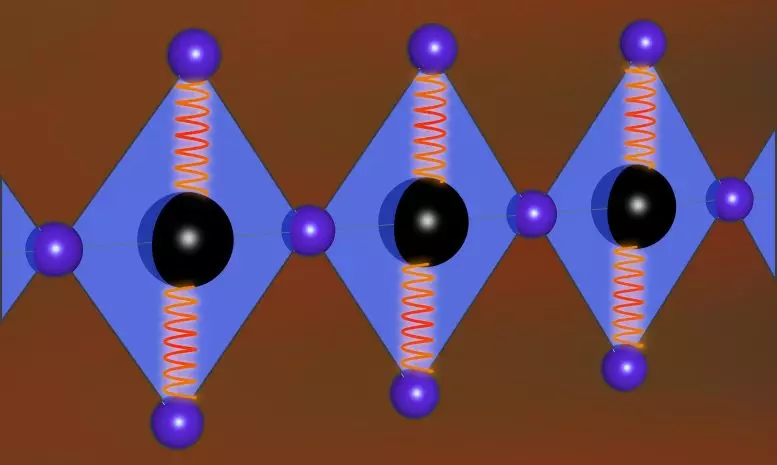 Mavibrations anodyidzana ne1D Cuprate Chain