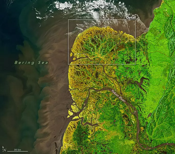 Yukon Kuskokswim Delta Annotated