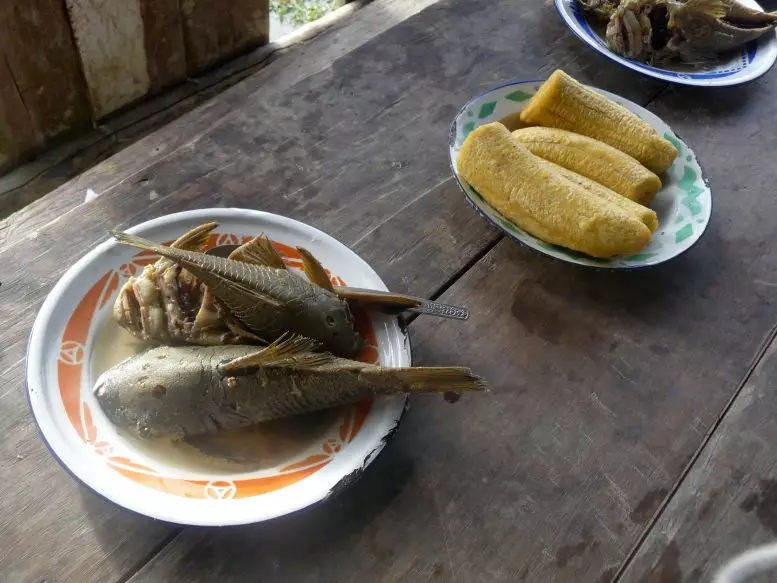 Traditionell Shuar-lunch