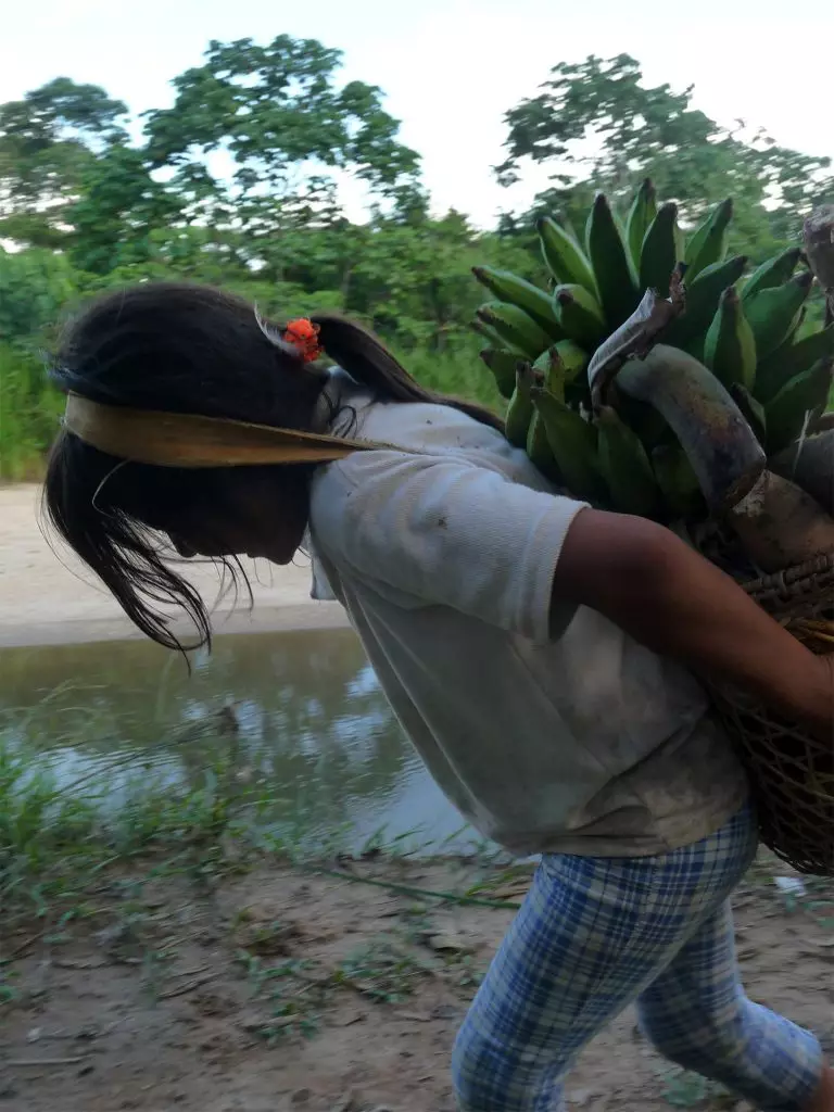 កុមារ Shuar ជនបទសកម្ម