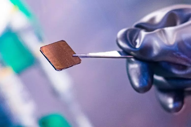 බීජ වලින් වගා කරන ලද 2D Perovskite තුනී පටල