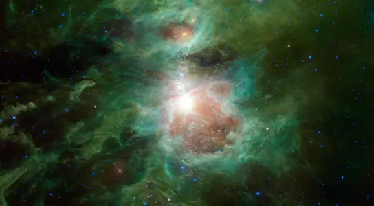 WISE Amawona Orion Nebula 2081_1