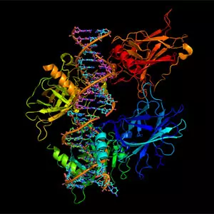 Evolution Pab Deduce tus duab ntawm 18 Tsev Neeg ntawm Transmembrane Proteins