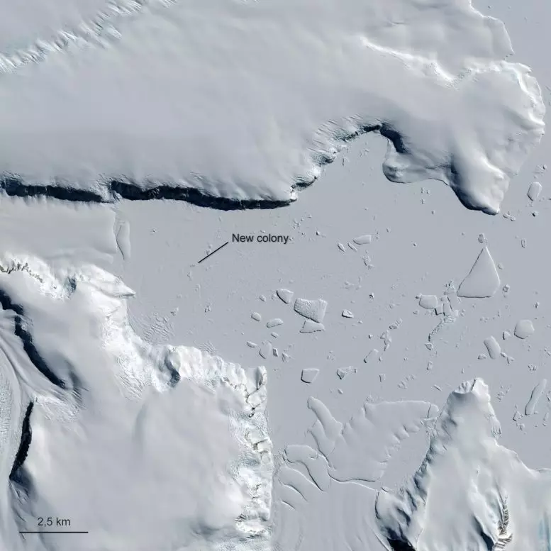 IYule Bay Antarctica