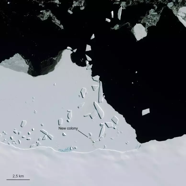 Cape Gates Antarctica