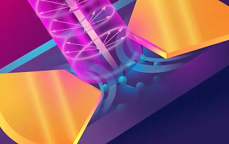 Phase-Sensitive Terahertz Interferometer