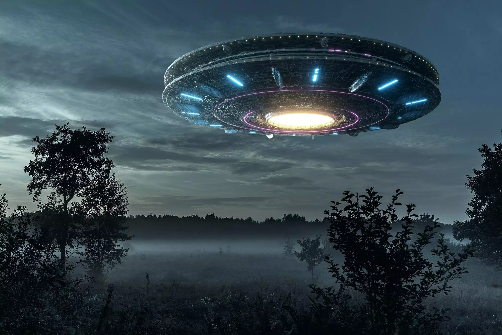 Wissenschaftler warnen vor „Alien“-Invasionen und der Notwendigkeit planetarer Biosicherheit