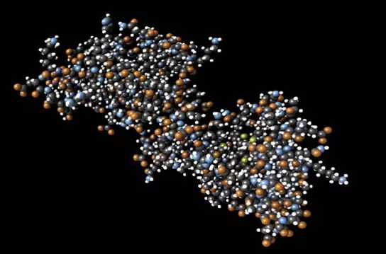 Majelis Nano-Mesin Molekuler Niru Gerakan Otot Manungsa 21570_2