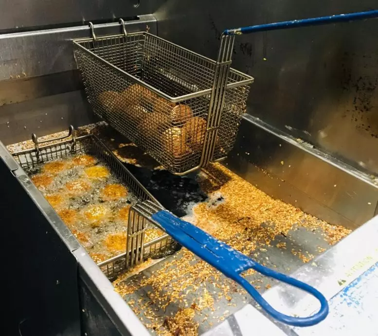 Խորը Fryer Canola յուղով