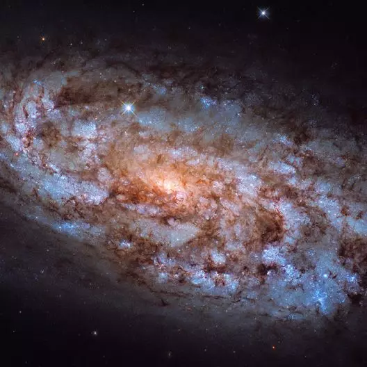 Galaxy NGC 1792 اسٹیلر فورج