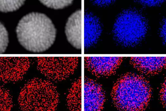 Os investigadores controlan as nanopartículas con luz e imáns
