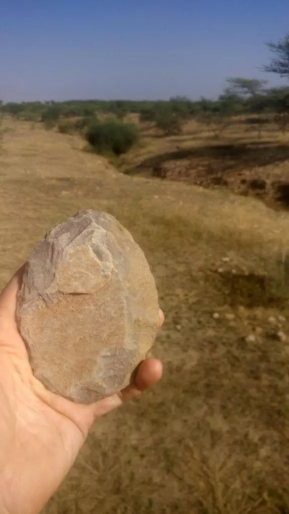 Thar Desert Handaxe