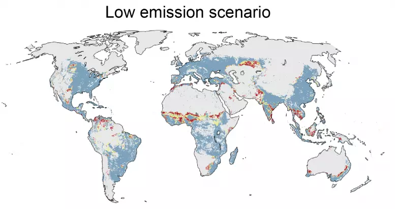 Global matproduksjon Lavutslippsscenario