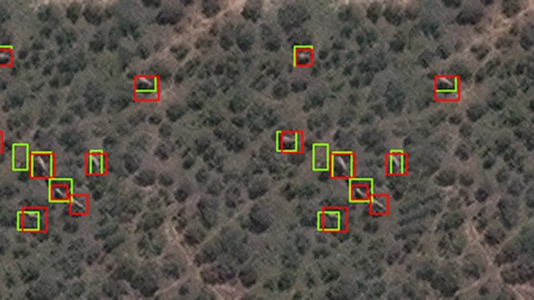 Olifanten in bos gezien vanuit de ruimte