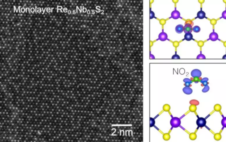 ឧបករណ៍ចាប់សញ្ញា Bilayer Trilayer