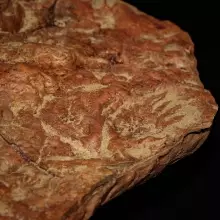 Ixesha leDinosaur lidibana neXesha leSithuba