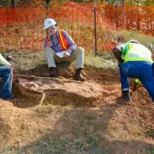 Footprints Cretaceous Kapanggih dina NASA Goddard Kampus