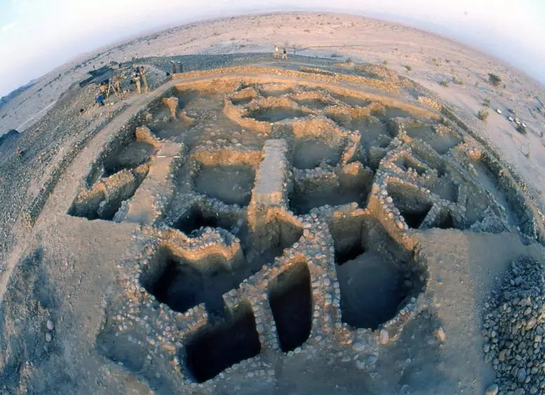 Izrakumi Tel Tifdan / Wadi Fidan