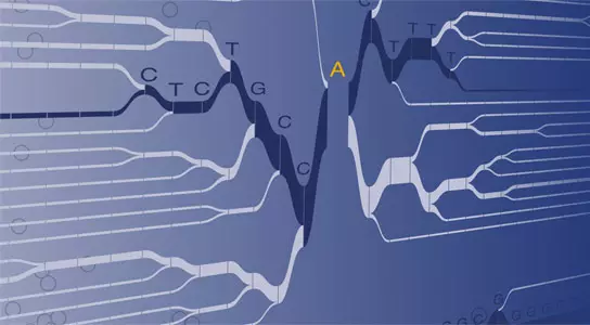 ЦМС тест за откривање генетских сигнала позитивне селекције 2270_1