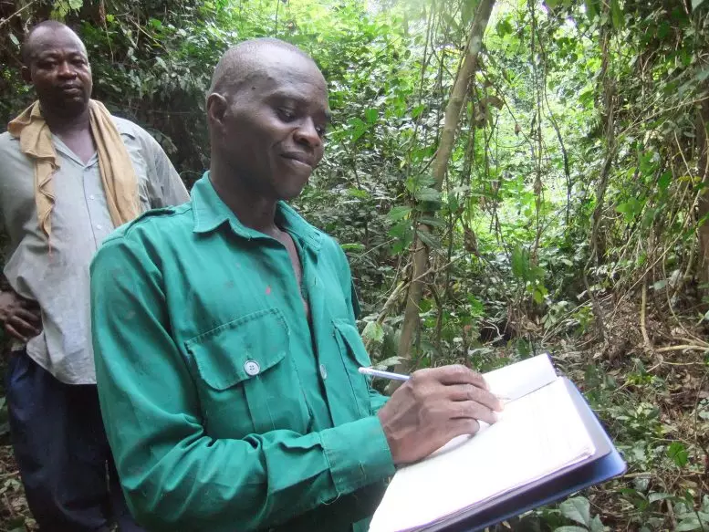 Technicus van de bosbouwcommissie van Ghana