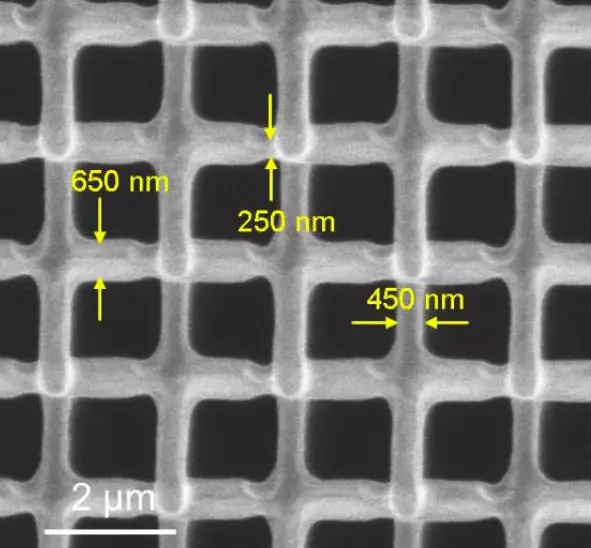 Scannen Elektronenmikroskopie Bild vun Nanoscale Gitter