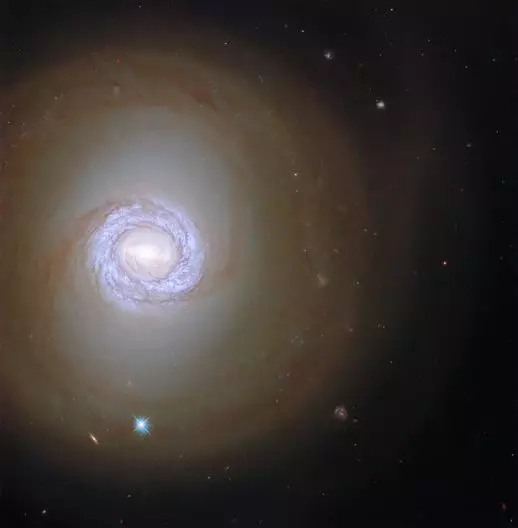 ספּיראַליש גאַלאַקסי NGC 1317
