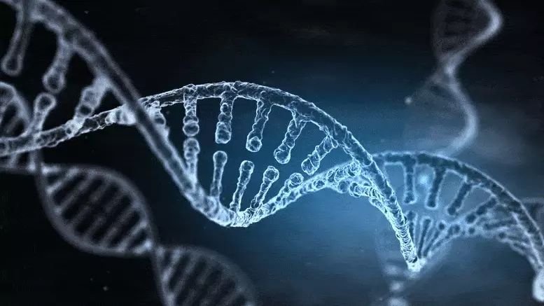 DNA genetiikka