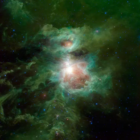 WISE Amawona Orion Nebula