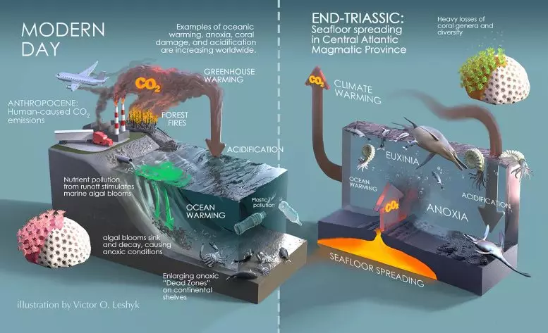 Twin Triggers of Triassic Era Extinction Event