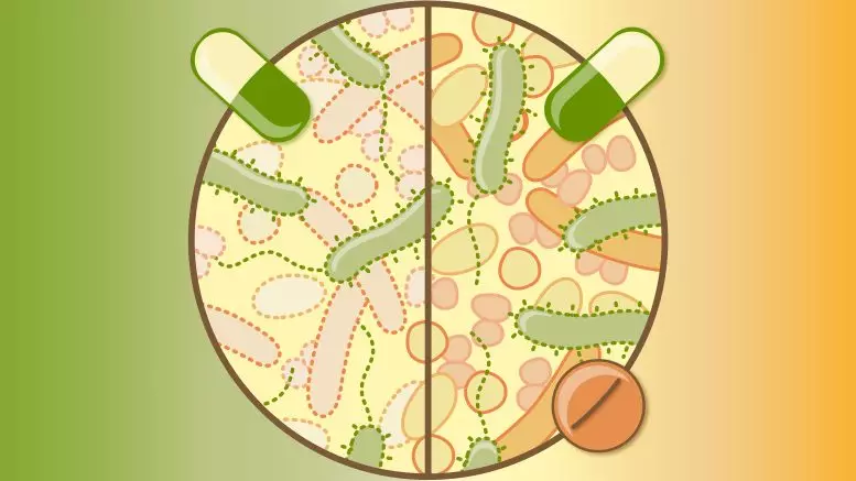 Antibiotiku izraisīti papildu bojājumi