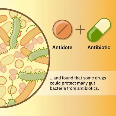 Antibiotiku infografika 3