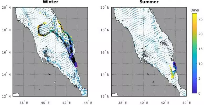 I-Computer Simulation Red Sea