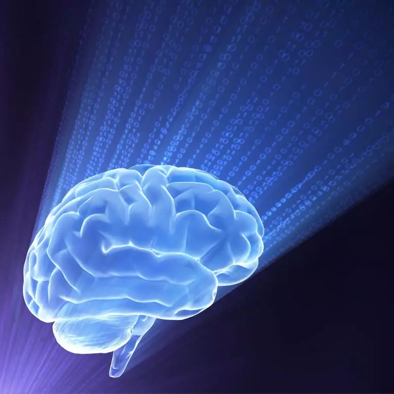 Технология лечения мозга