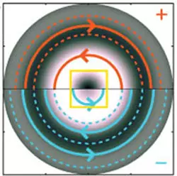 kuenzanisa kwema electron matanda ane parallel uye antiparallel spin uye vortex orientation