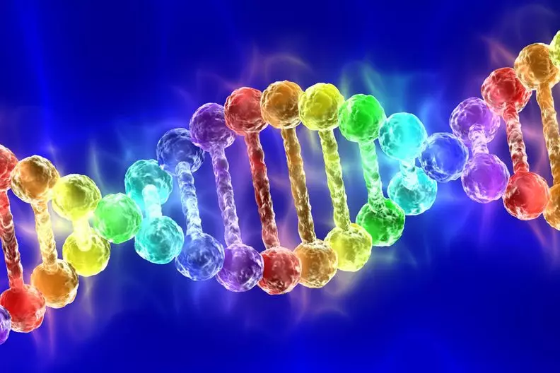 Reënboog DNA
