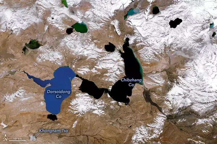 Plateau Tibetan 1987 Annotata