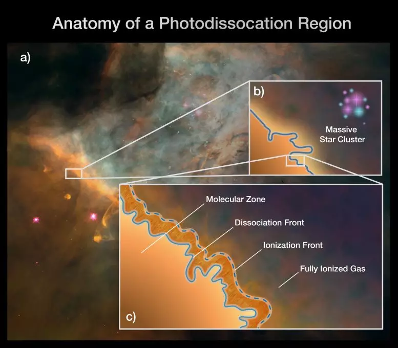 Anatomie einer Photodissoziationsregion